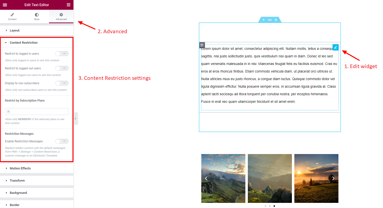 Elementor Integration
