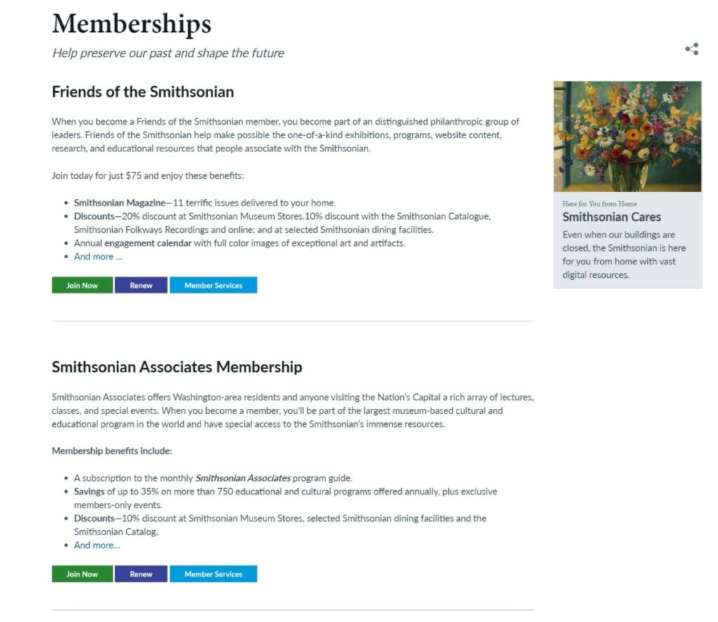 Creative Membership Level Names: How to Name Your Subscription Tiers